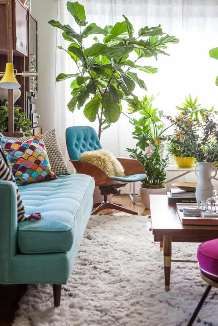 House Plants For Any Home | Kristina Wolf Design